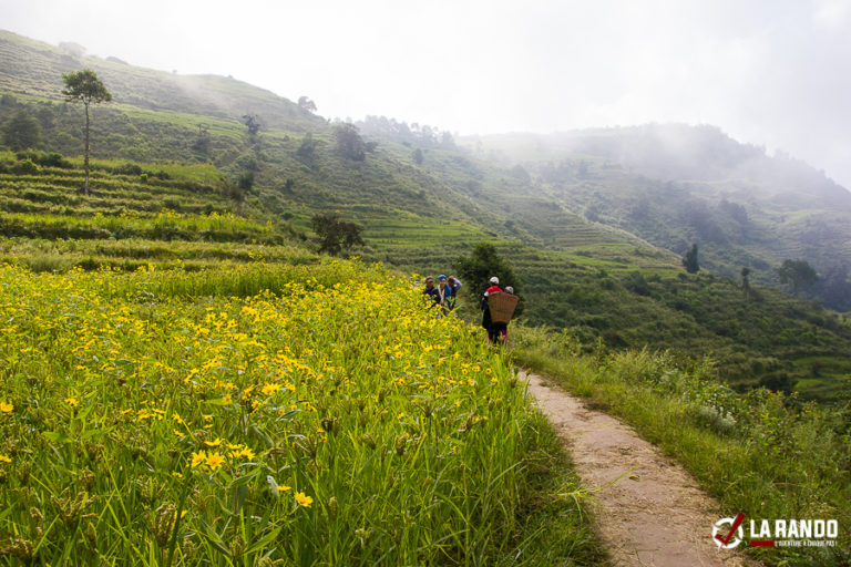Randonnée à Gonje au Népal - La Rando: Magazine Randonnée, Trekking ...