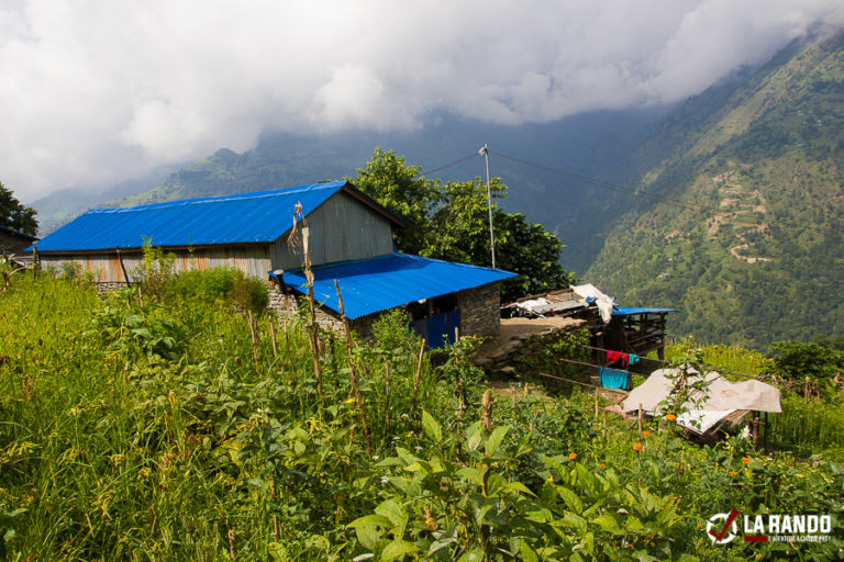 Randonnée à Gonje au Népal - La Rando: Magazine Randonnée, Trekking ...