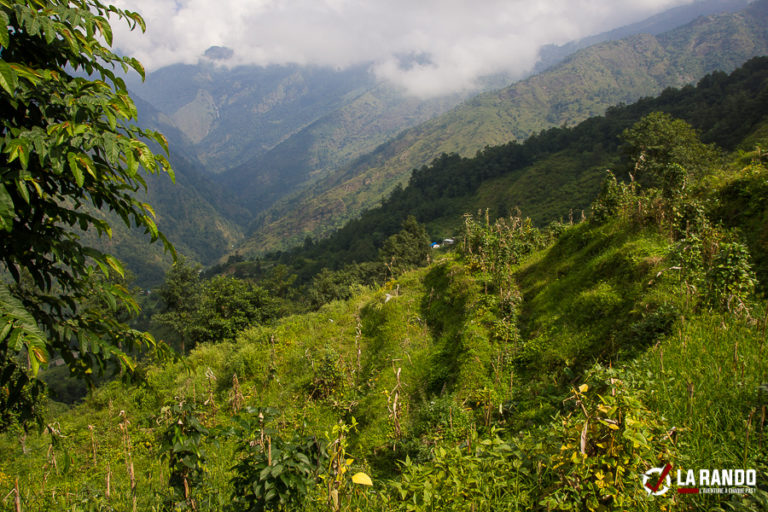Randonnée à Gonje au Népal - La Rando: Magazine Randonnée, Trekking ...