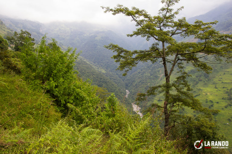Randonnée à Gonje au Népal - La Rando: Magazine Randonnée, Trekking ...