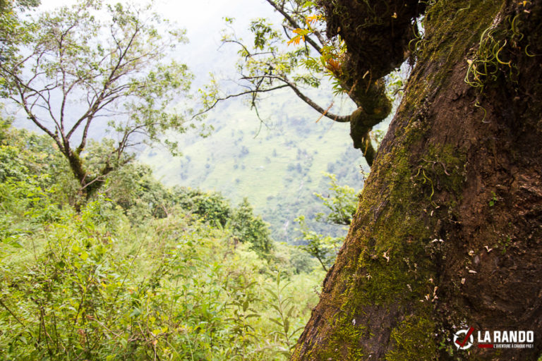 Randonnée à Gonje au Népal - La Rando: Magazine Randonnée, Trekking ...