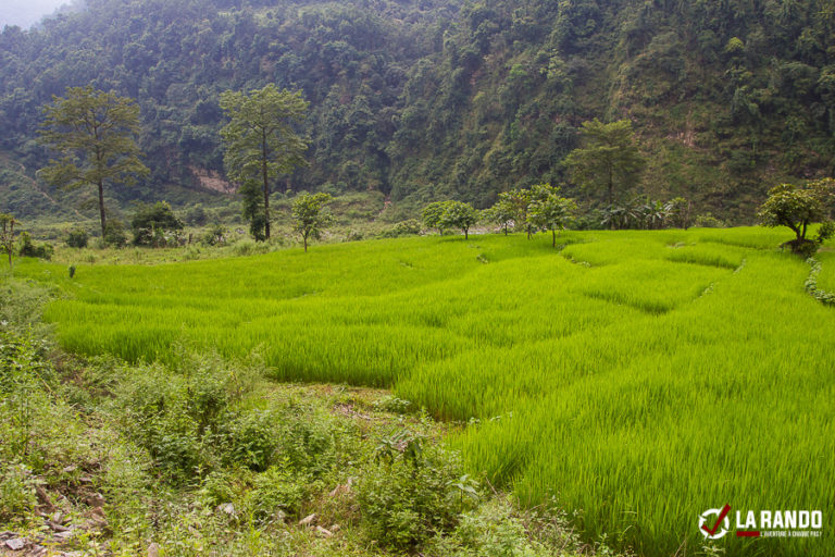 Randonnée à Gonje au Népal - La Rando: Magazine Randonnée, Trekking ...