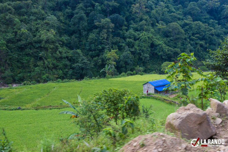 Randonnée à Gonje au Népal - La Rando: Magazine Randonnée, Trekking ...