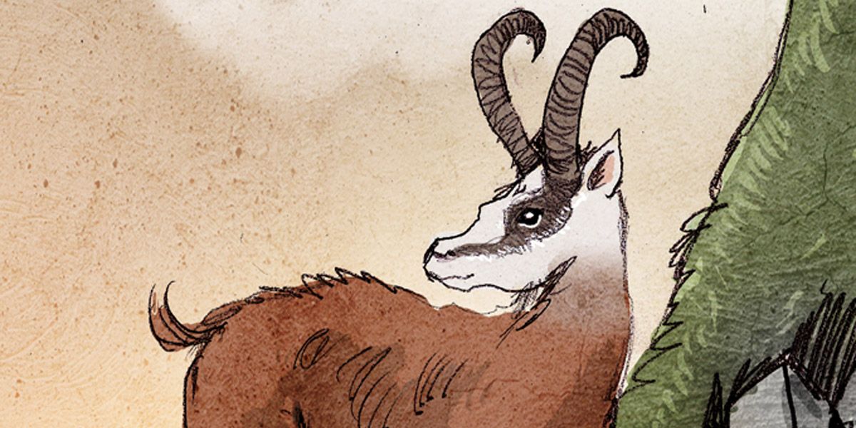 Le Dahu, animal légendaire des Vosges - La Rando: Magazine Randonnée ...