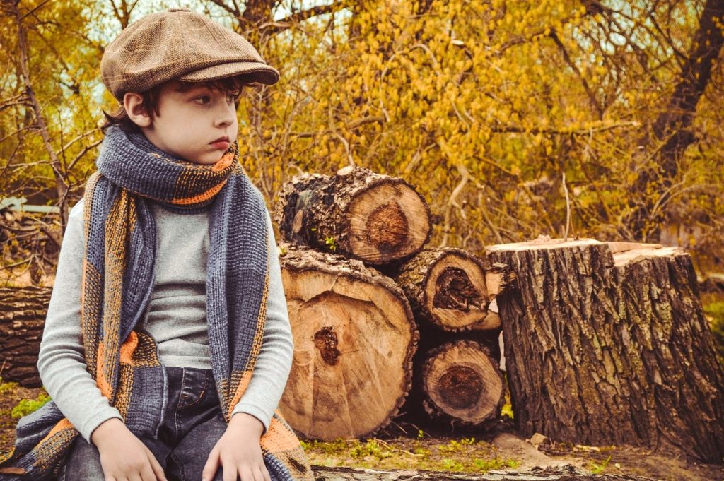 Comment devenir bûcheron ? - La Rando: Magazine Randonnée, Trekking ...